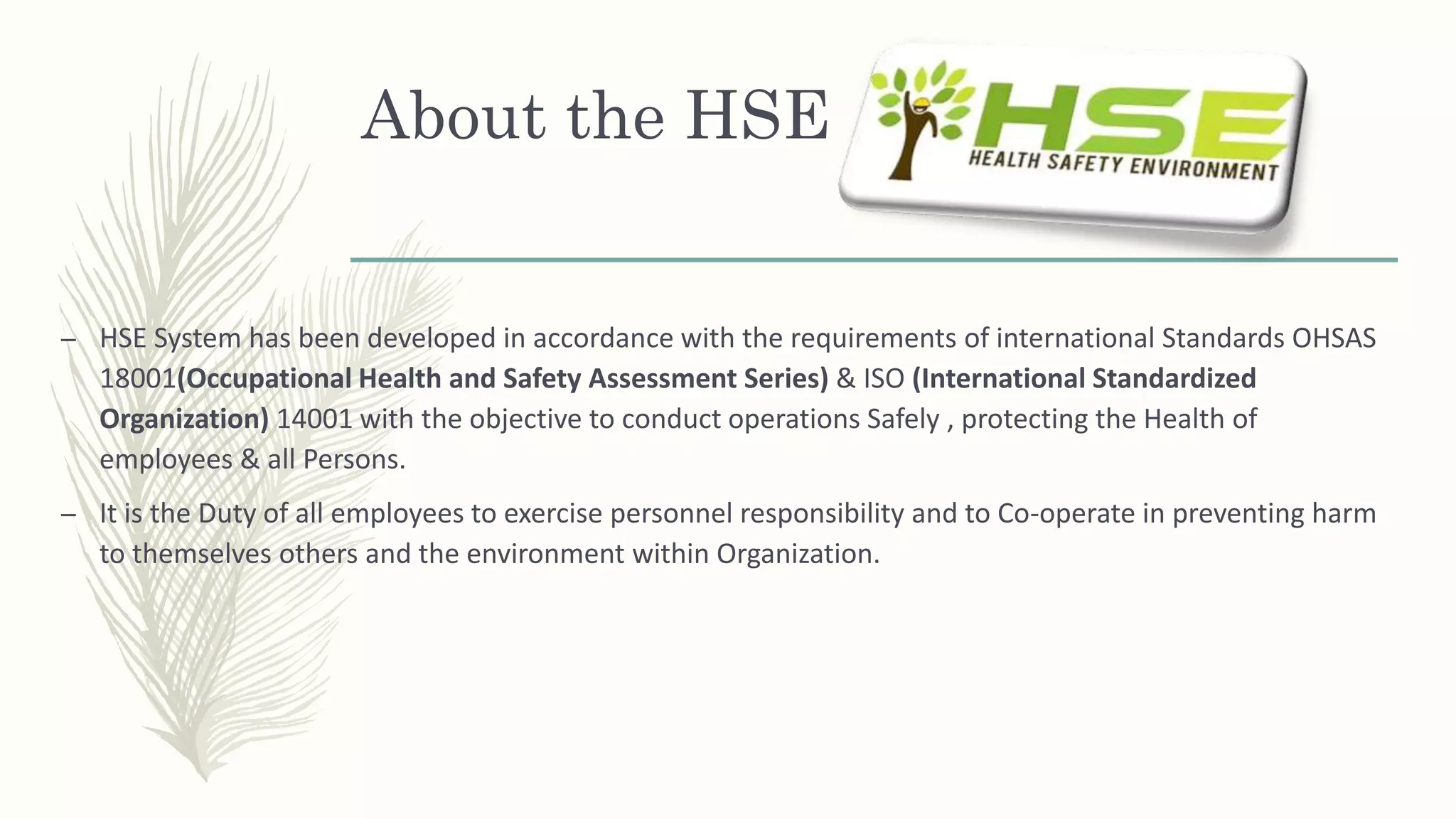 Hse presentation | PPTX
