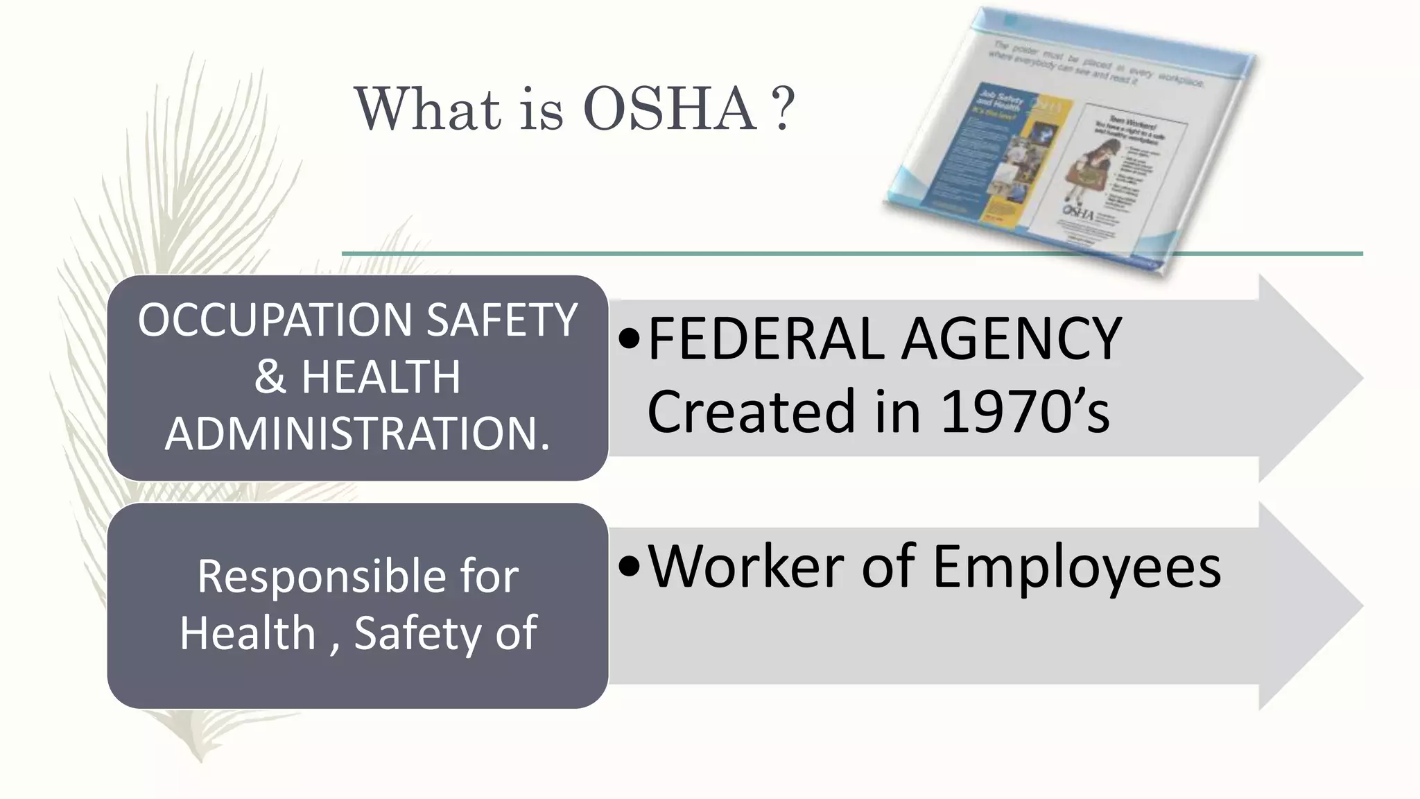 Hse presentation | PPTX