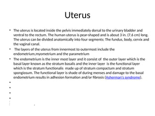 Hysterosalpingography or HSG or special examination in ppt | PPTX