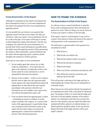 Expert Witnesses: The Who, What, When And How Of Retaining Experts And ...