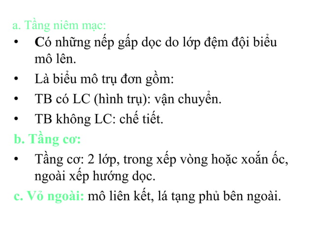 Hệ sinh dục | PPTX