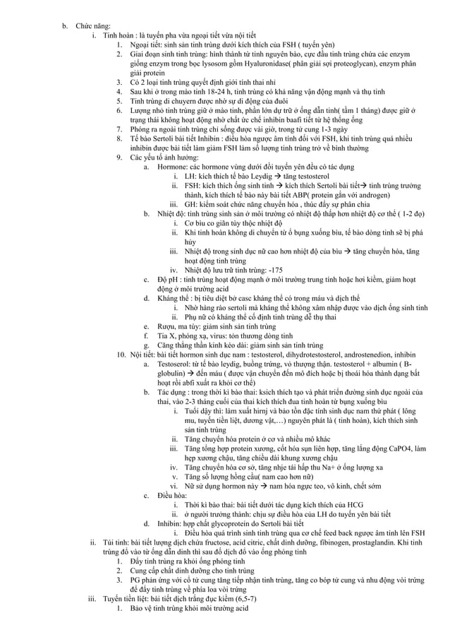 HỆ SINH DỤC.docx