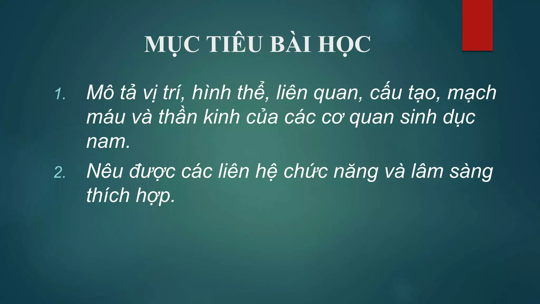 Hệ sinh dục nam | PPTX