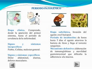 historia natural de la enfermedad.pptx