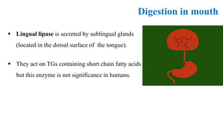 Digestion & absorption of lipids by Dr. Santhosh Kumar N.pptx