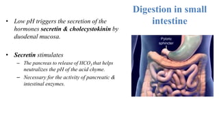 Digestion & absorption of lipids by Dr. Santhosh Kumar N.pptx