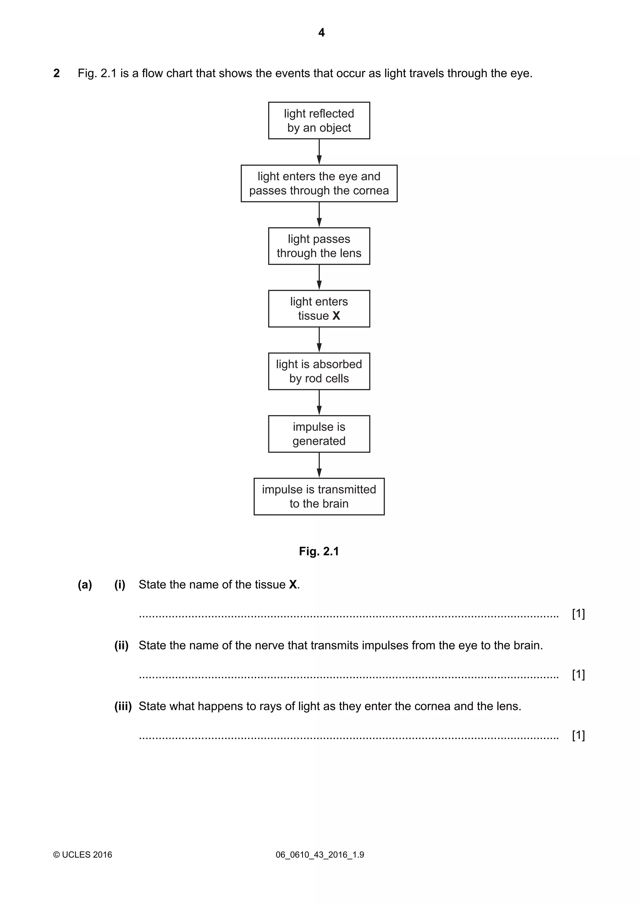 0610 s16 qp_43 | PDF