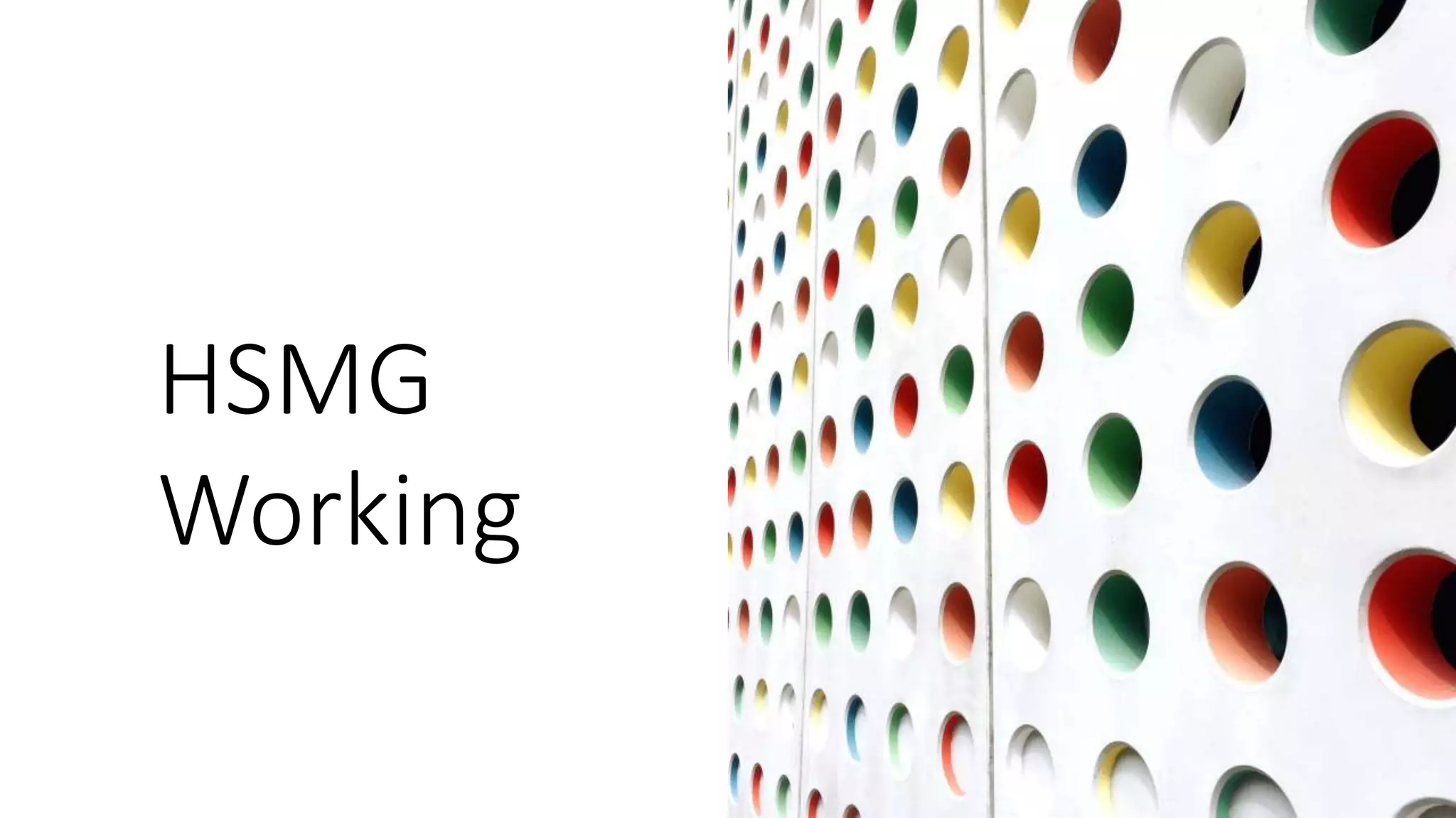 HSMG RMG High Shear Mixer Granulator | PPSX