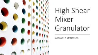 HSMG RMG High Shear Mixer Granulator | PPSX