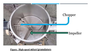 HSMG RMG High Shear Mixer Granulator | PPSX