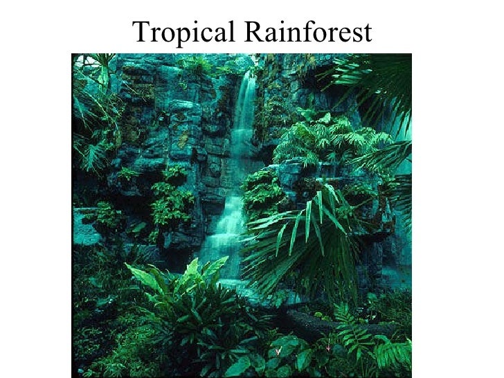 African Rainforest Climate Map