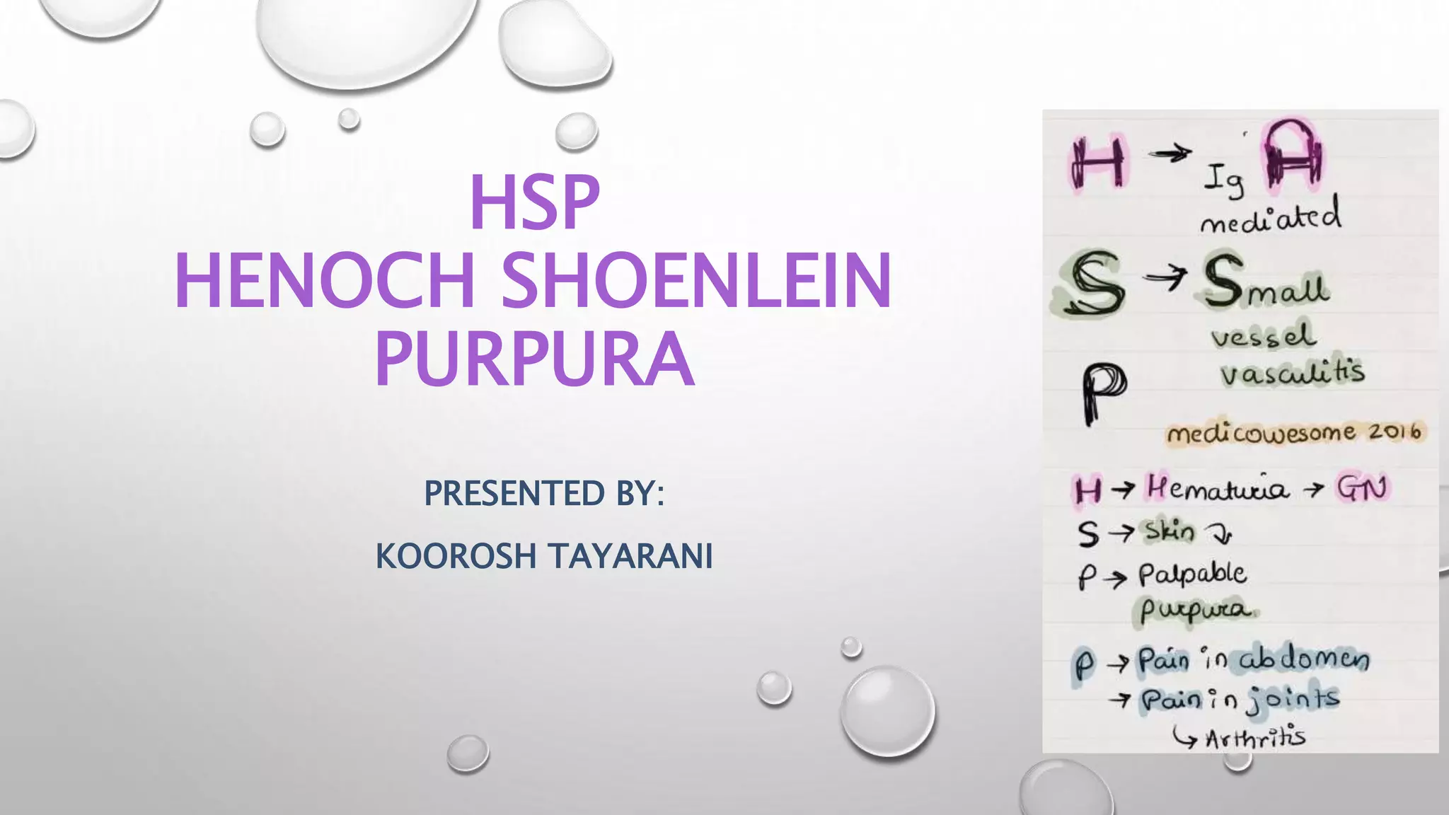 Hsp - Henoch-Schönlein purpura | PPT