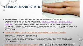 Hsp - Henoch-Schönlein purpura | PPT