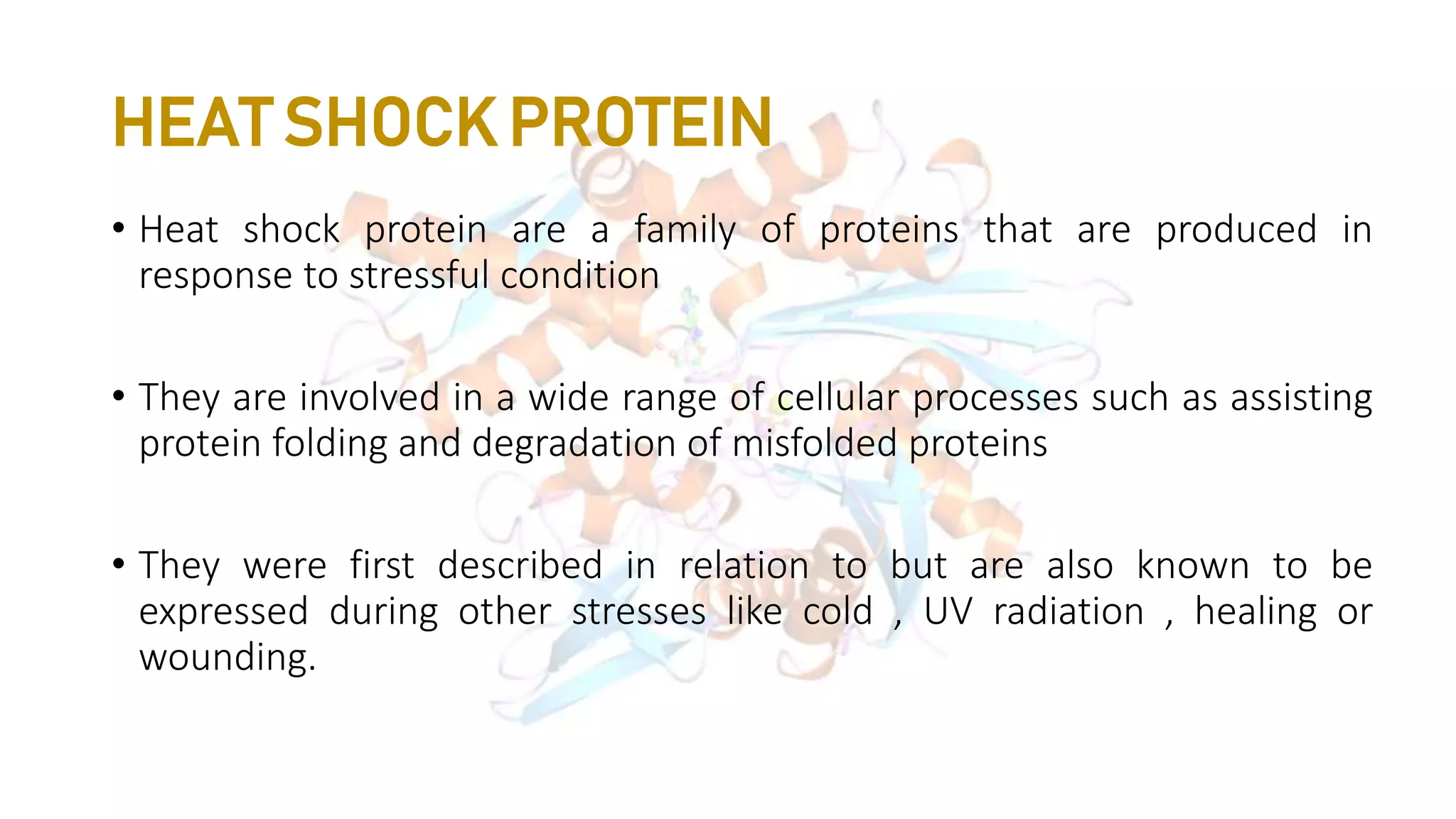 Heat Shock Protein | PPTX