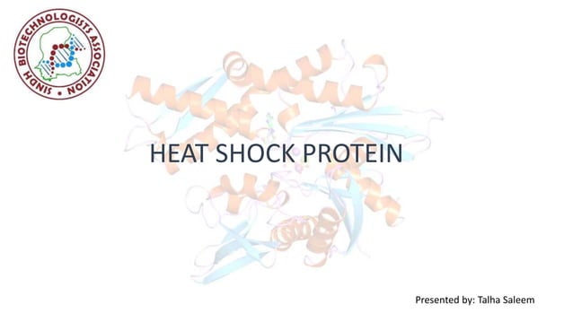 Heat Shock Protein | PPT