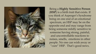 HSP 101: BEGINNING TO UNDERSTAND THE HIGHLY SENSITIVE PERSON | PPTX