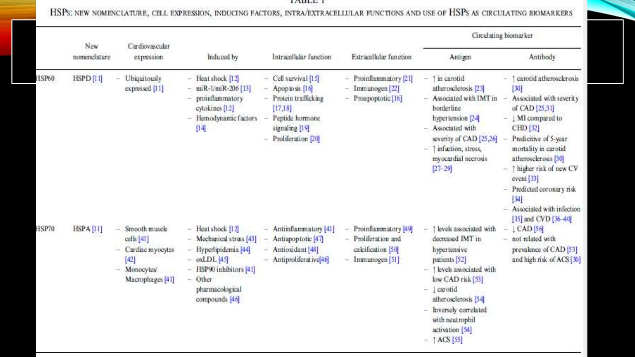 HSP AND PERIODONTIUM in health and disease | PPTX