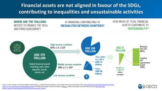 G20 DWG meeting - OECD on SDG Alignment | PPT
