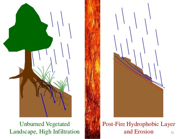 Hydrophobicity of Soils