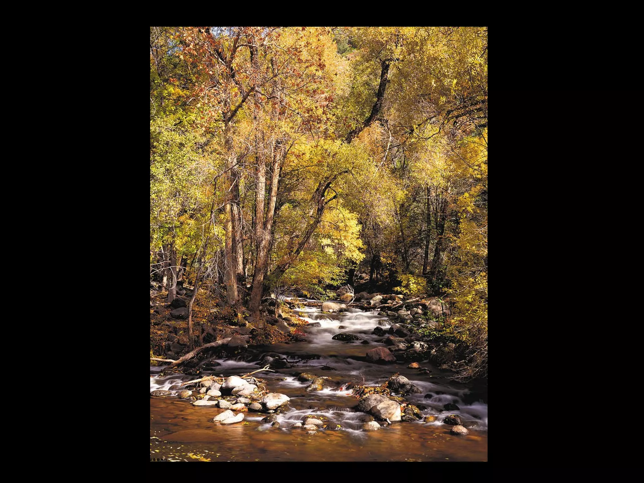 HSR Slide Show | PPT