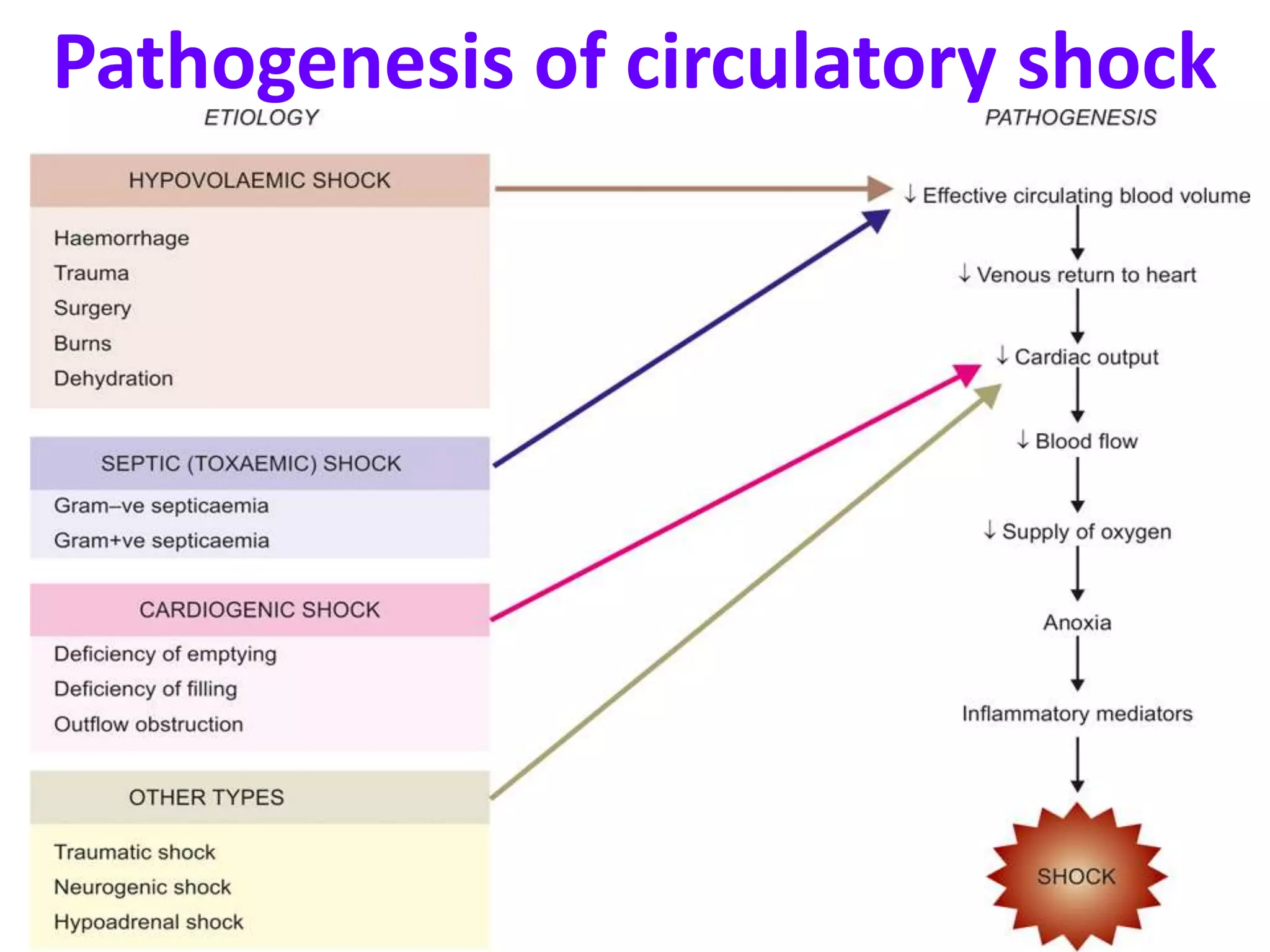 Hemodynamic Disorders, Thromboembolic Disease & SHOCK | PPTX