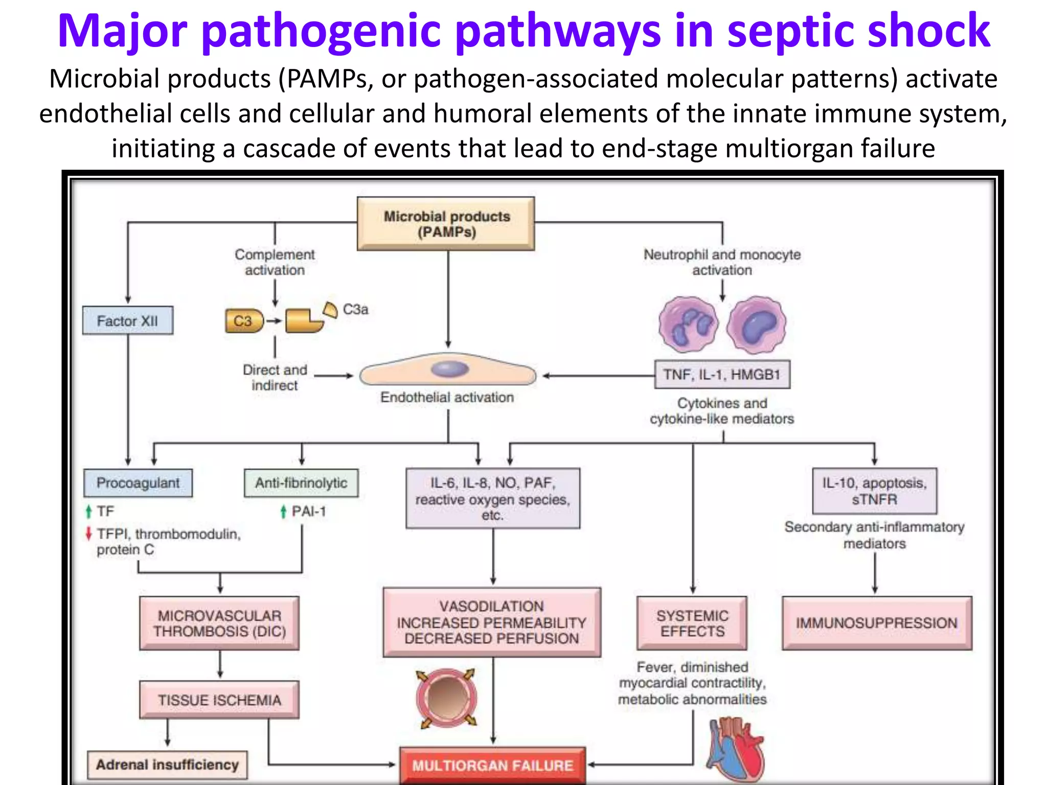 Hemodynamic Disorders, Thromboembolic Disease & SHOCK | PPTX