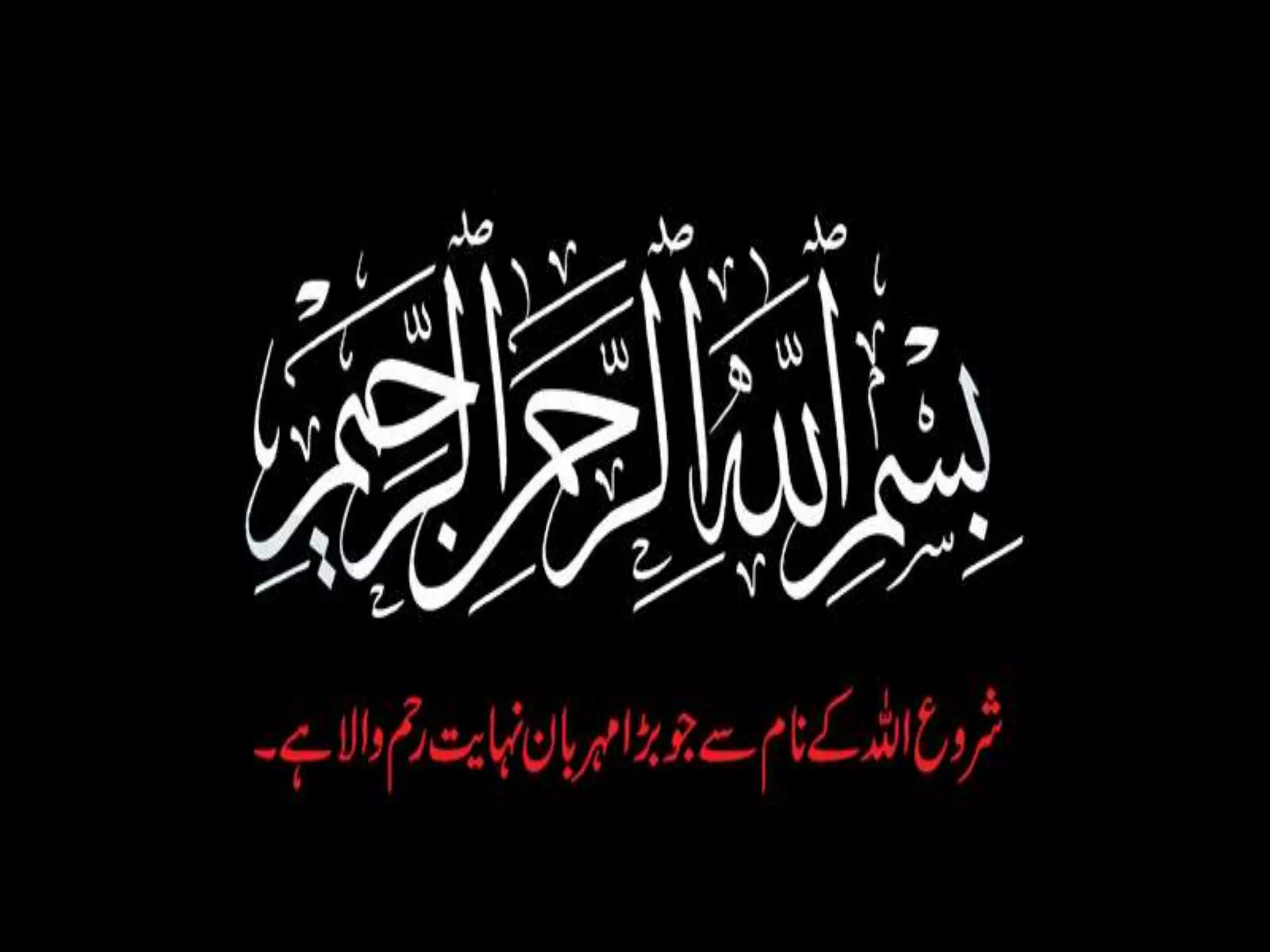 Hssd by saqib mehmood | PPTX