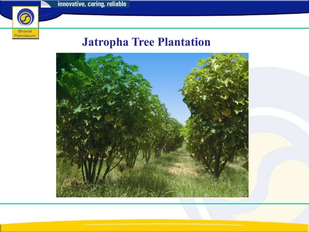 BPCL - CSR Initiatives | PPT