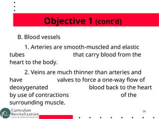 Cardiovascular system powerpoint presentation | PPT