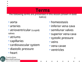 Cardiovascular system powerpoint presentation | PPT | Heart and ...