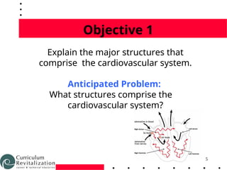 Cardiovascular system powerpoint presentation | PPT | Heart and ...