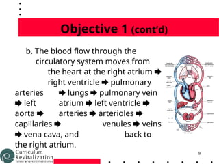 Cardiovascular system powerpoint presentation | PPT