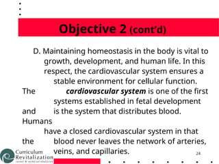 HST-P630057.ppt-----the structure and function of cardiovascular system ...