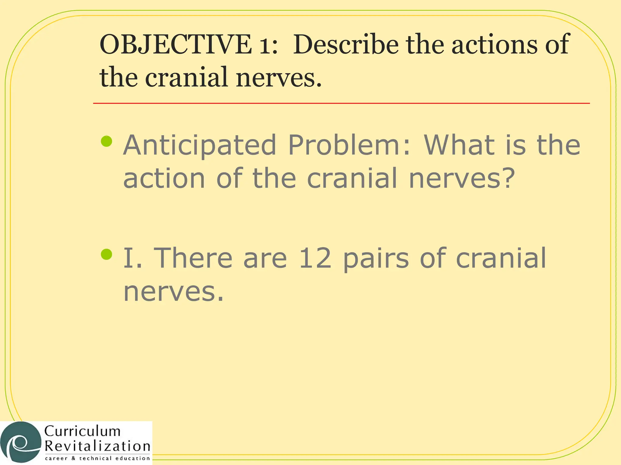 Central nerves system presentation and PowerPoint | PPT