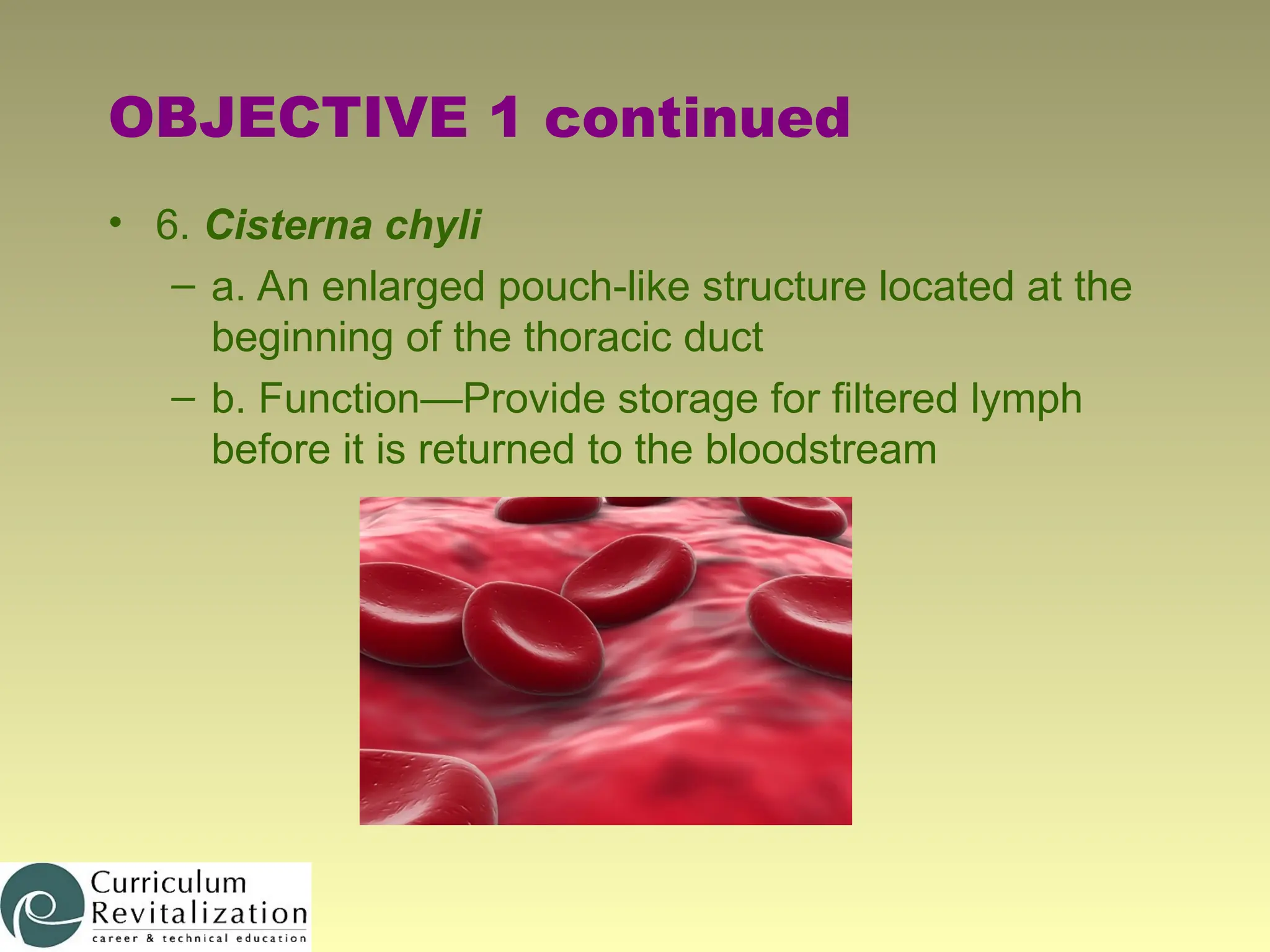 Lymphatic system power point presentation | PPT