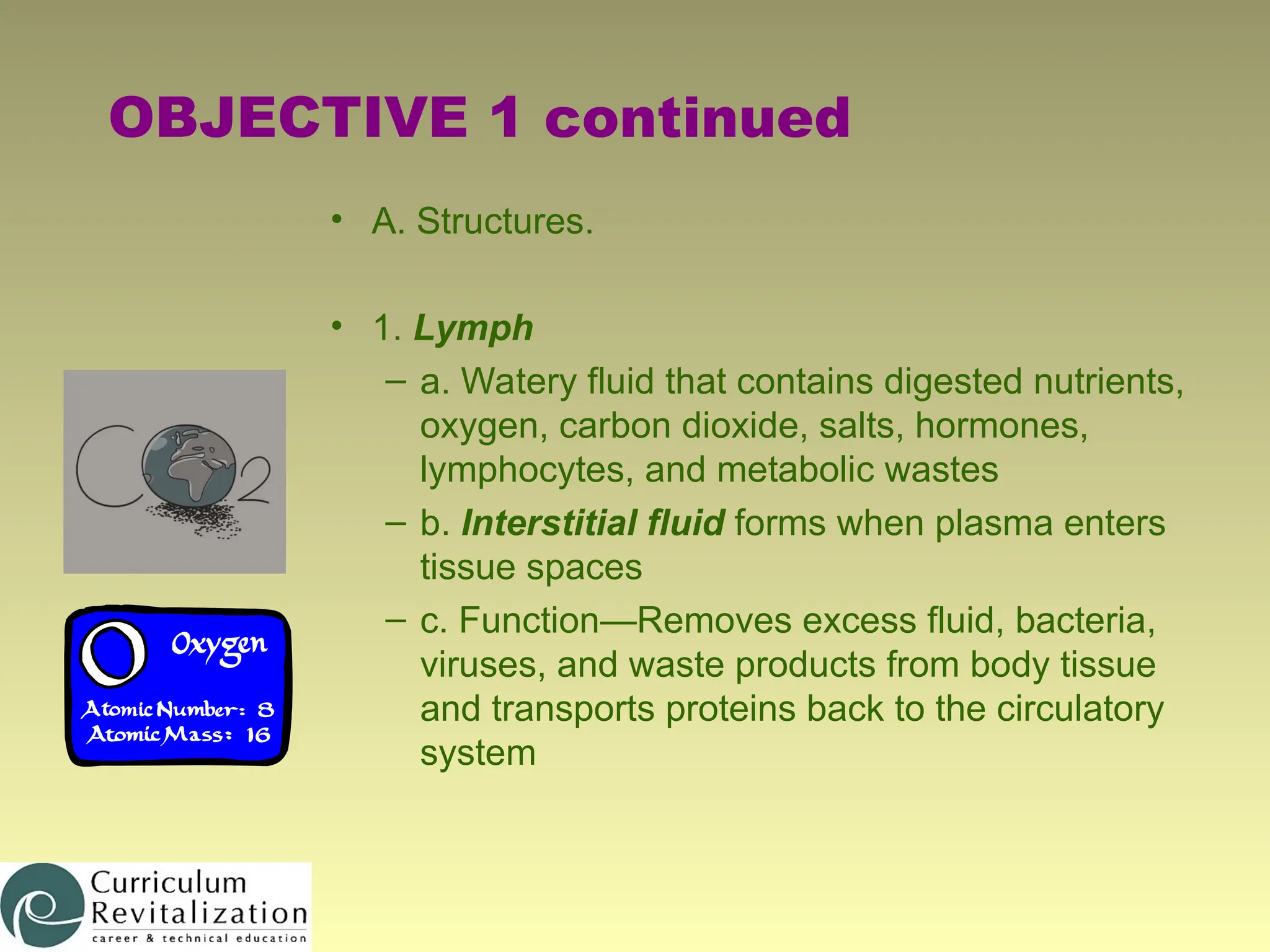Lymphatic system power point presentation | PPT