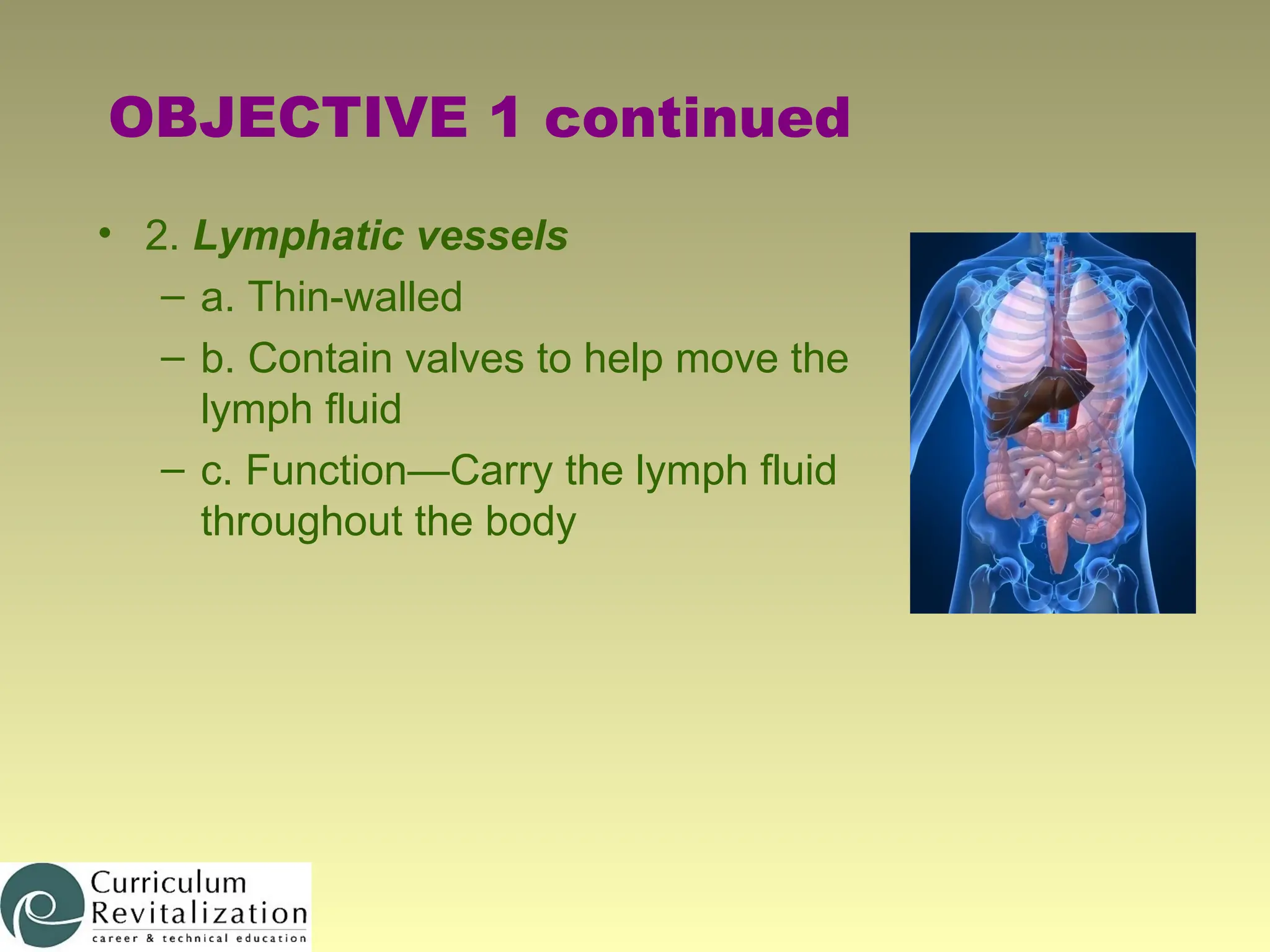 Lymphatic system power point presentation | PPT