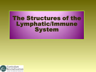 Lymphatic system power point presentation | PPT