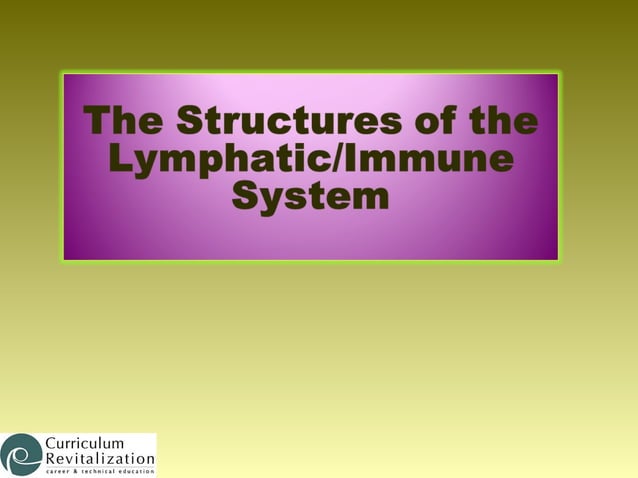 Lymphatic system power point presentation | PPT