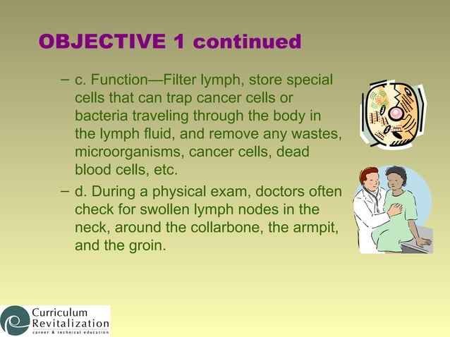 Lymphatic system power point presentation | PPT