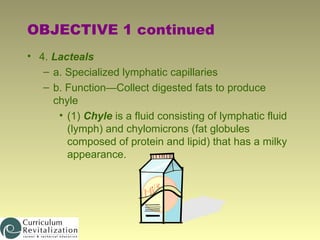 Lymphatic system power point presentation | PPT