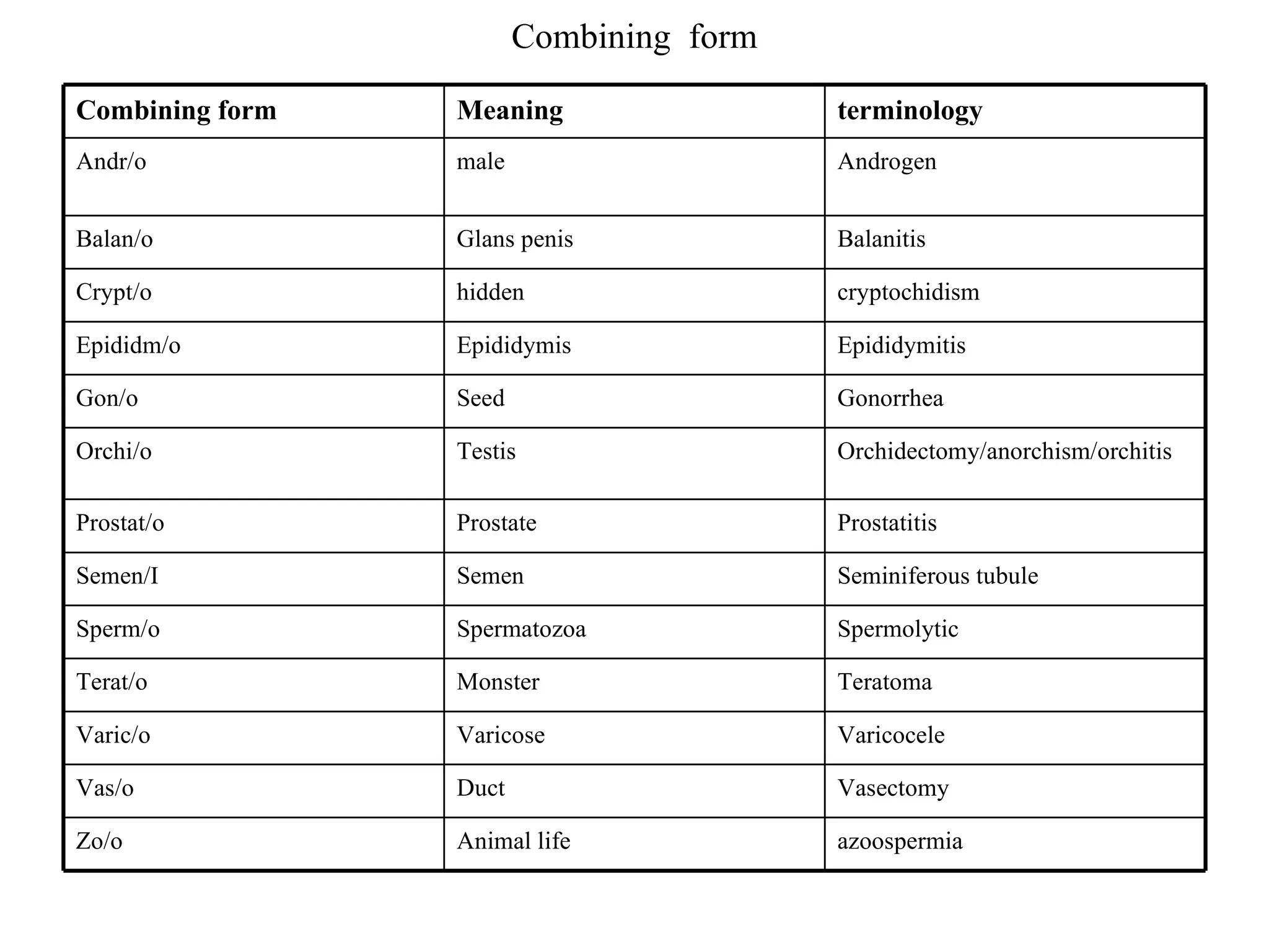 Male Reproductive System | PPT