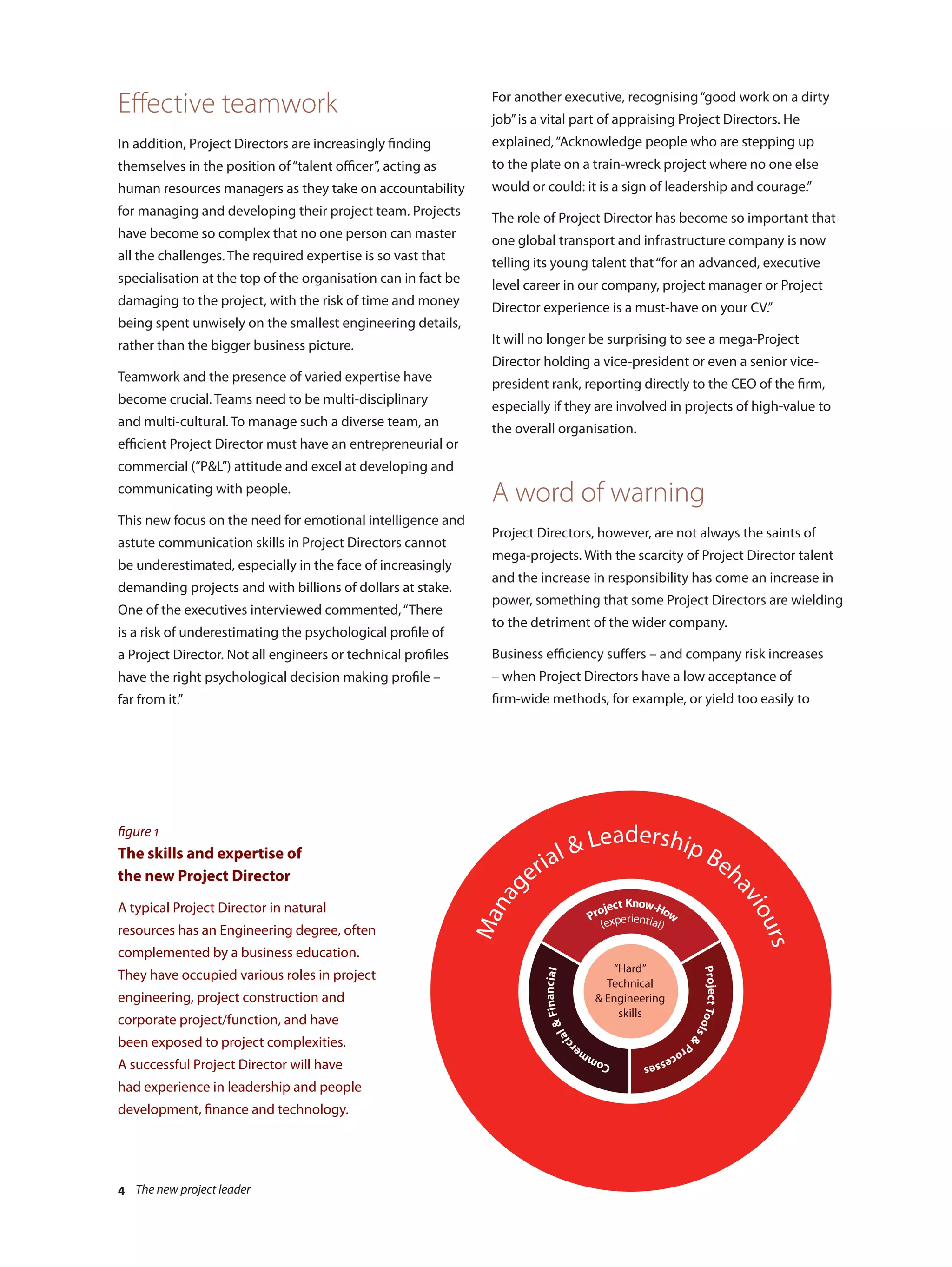 The New Project Leader | PDF