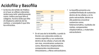 HÍSTOQUÍMICA Y CITOQUczsvdasadÍMICA.pptx