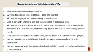 HERPES SIMPLEX VIRUS | PPTX