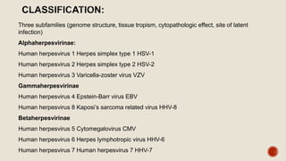 HERPES SIMPLEX VIRUS | PPTX