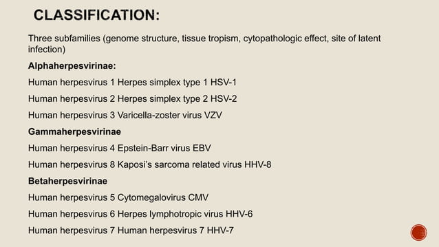 HERPES SIMPLEX VIRUS | PPTX