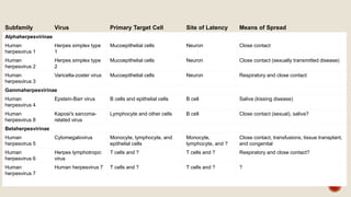 HERPES SIMPLEX VIRUS | PPTX