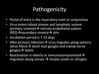 Herpes Simplex Virus (HSV) and Varicella Zoster Virus (VZV) by Dr ...