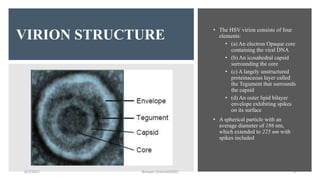 Hsv infections(cutaneous and genital) | PPTX